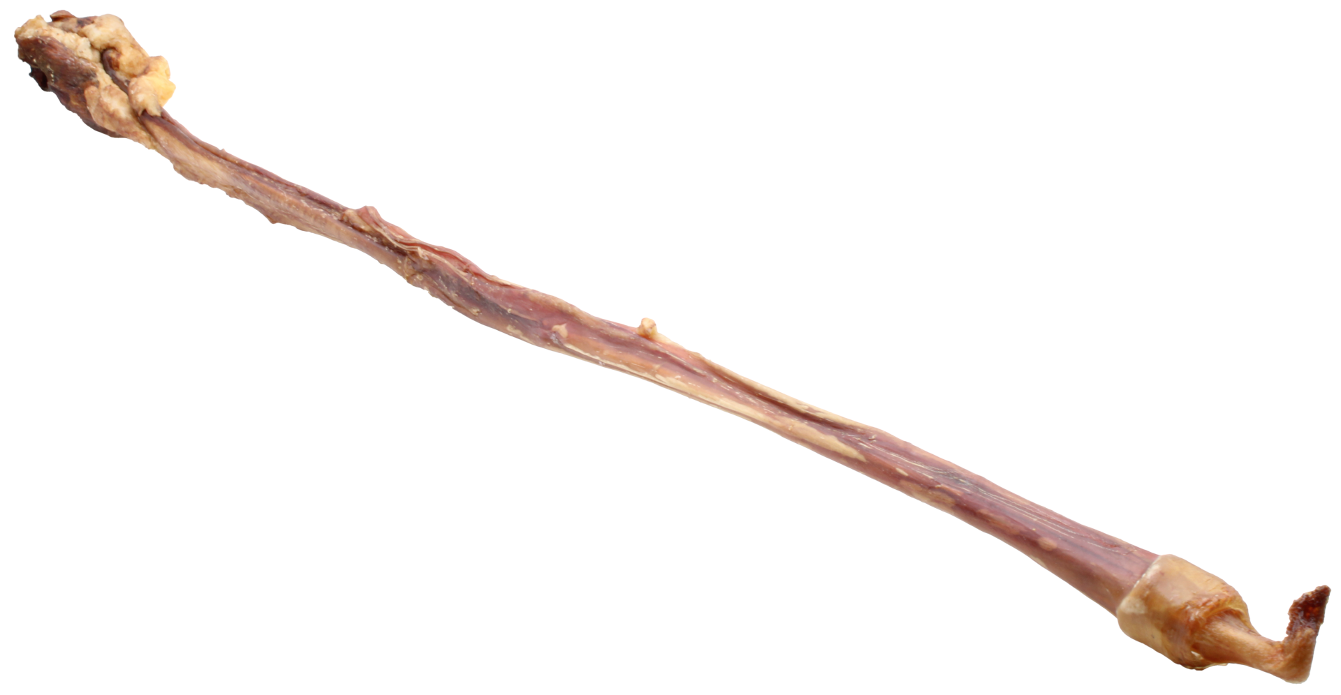 Barf-Shop: Qualität für Hund & Katze