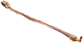 Barf-Shop: Qualität für Hund & Katze